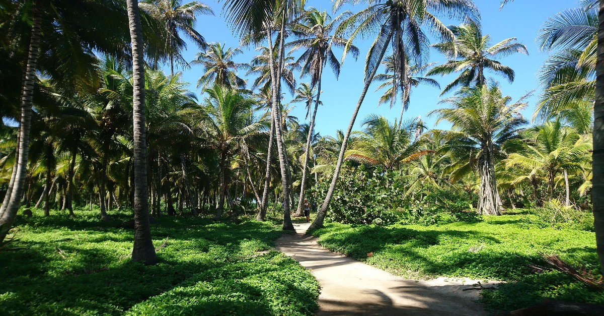 Parque Nacional Tayrona, un paraíso por descubrir - Planes con Duende